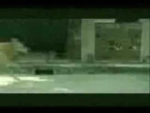 Aldatılan köpek- komedi cash