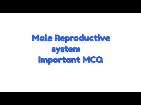 Male Reproductive system MCQ | important MCQs on male reproductive ...