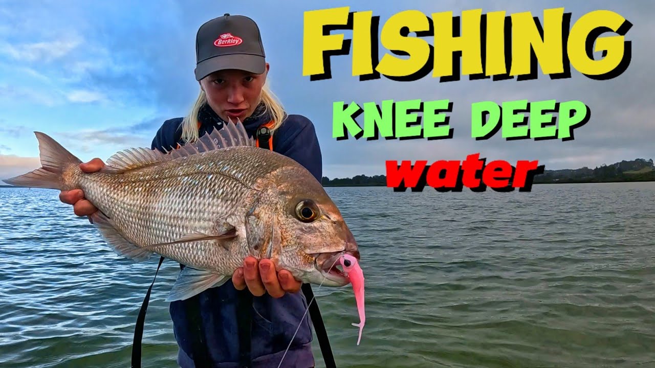 Fishing in Knee-Deep Water – Fish Everywhere! - YouTube