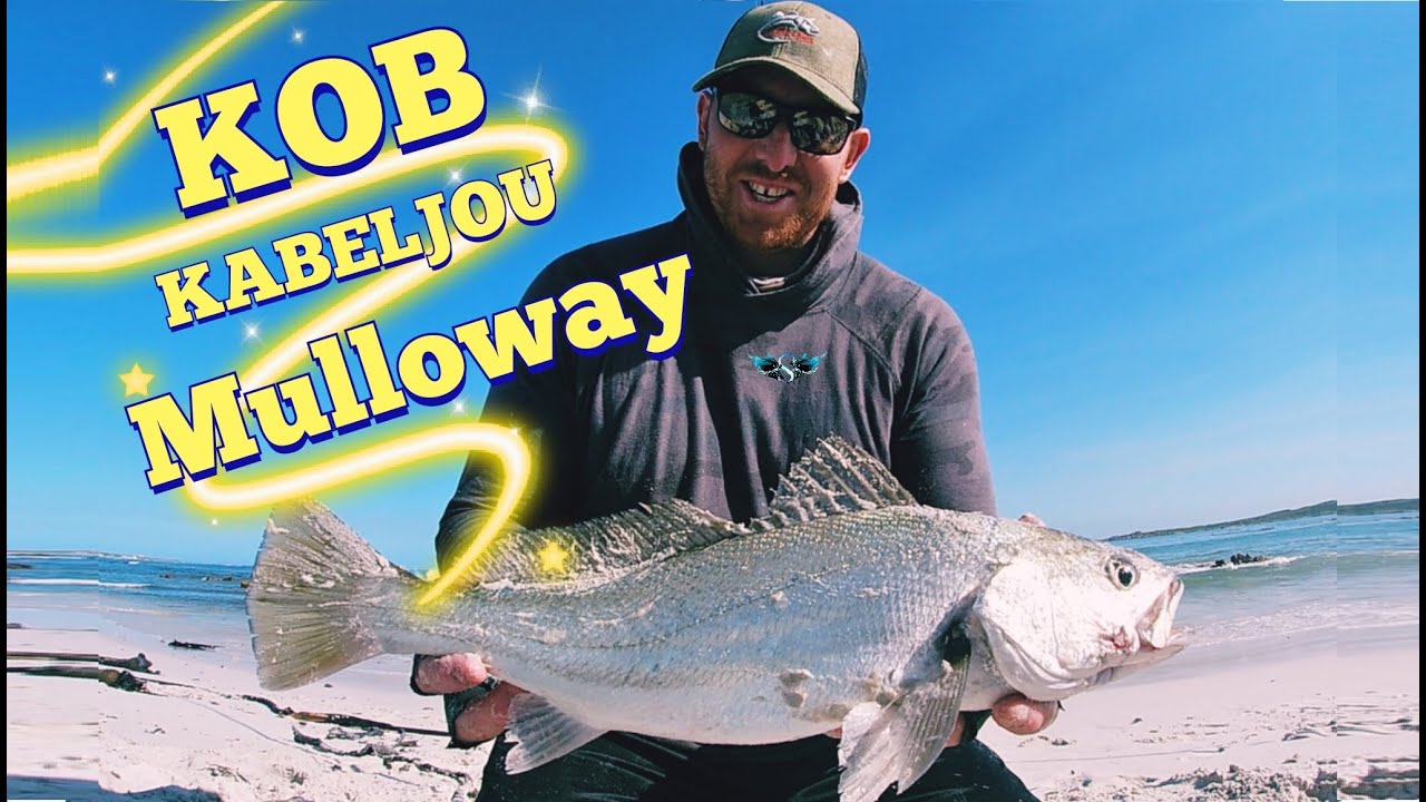 Fishing for SUMMER KOB inbetween KELP - YouTube