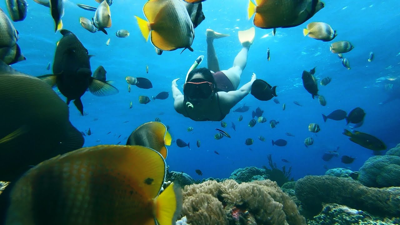 3 Days Adventure in Nusa Penida - Swimming with Manta / Eps.1 - YouTube