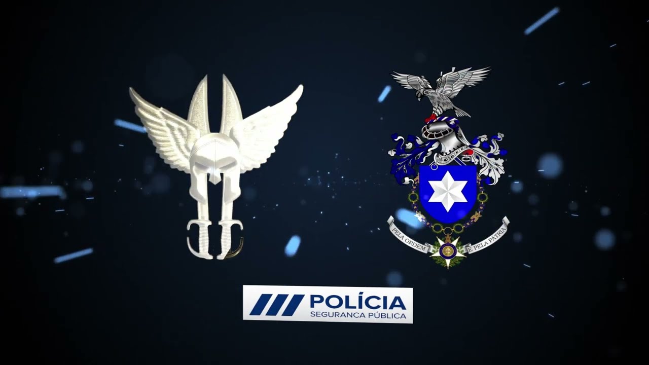 EPRI - Equipas de Prevenção e Reação Imediata - Portuguese Police ...