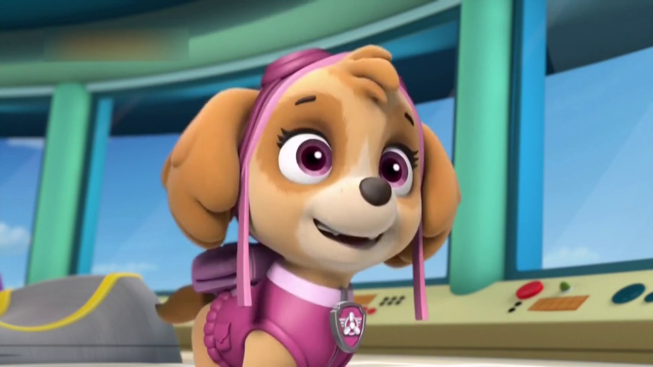 Paw Patrol Season 1 Best Video - YouTube