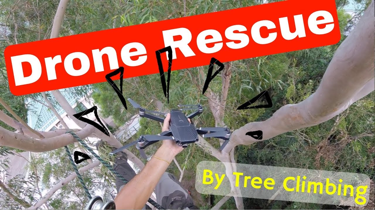 Drone Rescue by tree climbing at 15m hight tree canopy 攀樹15米高 拯救航拍機 ...