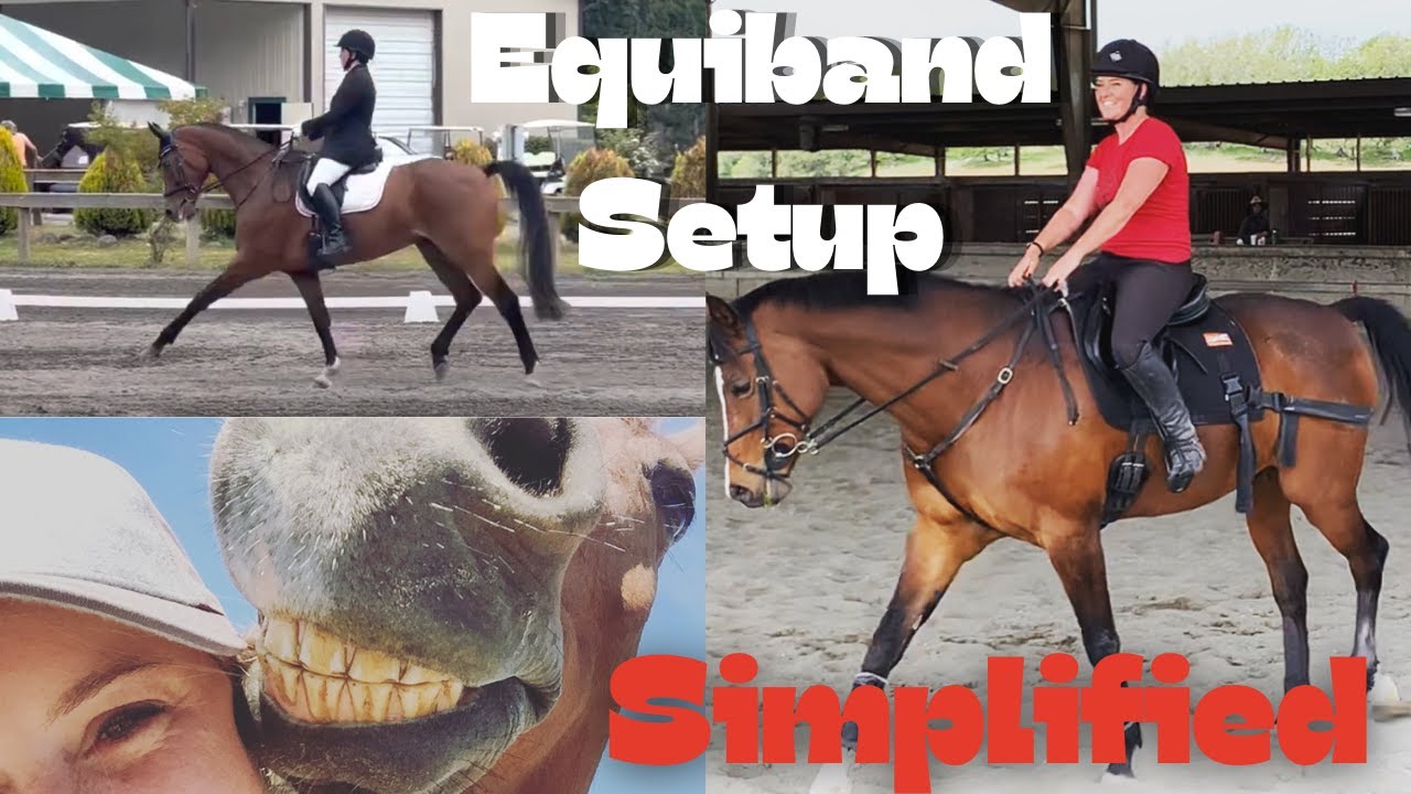 Transform Your Horse's Progress: Guide to Track Equiband Performance ...