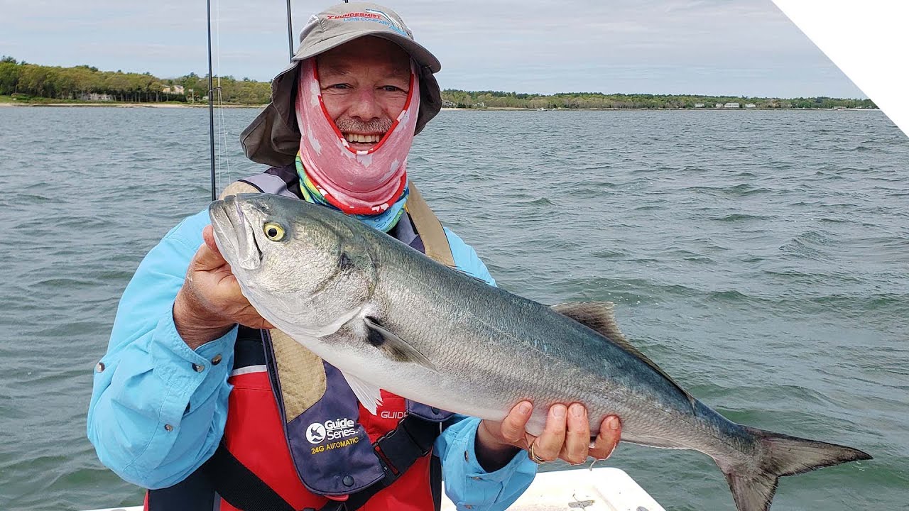 Top water blue fish action! - YouTube