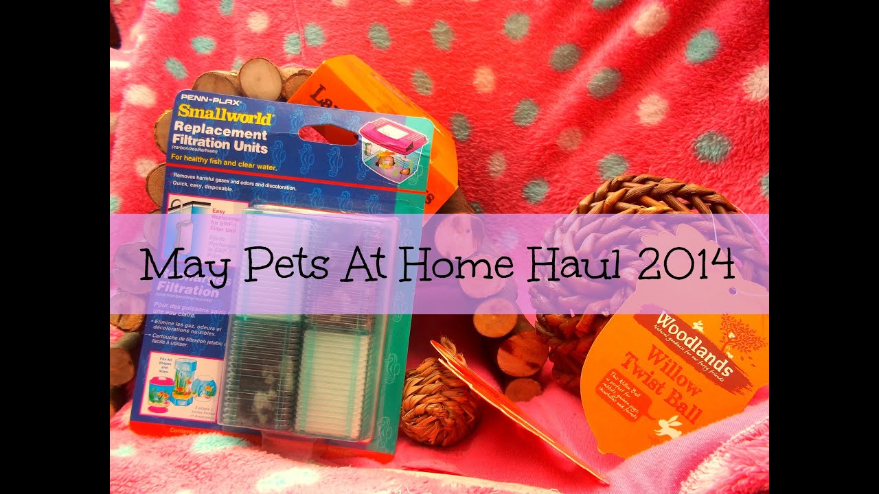 May Pets At Home Haul 2014 | RosieBunneh - YouTube