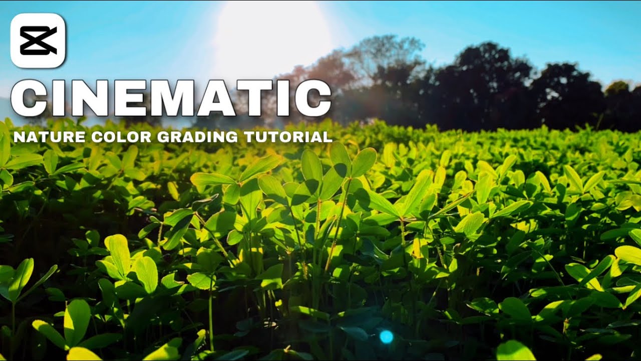 Mastering Cinematic Color Grading: Elevate Your Videos with Pro ...