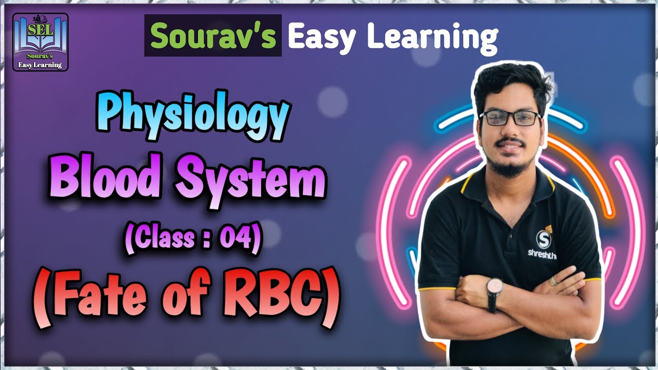Fate of RBC | Blood System (Class: 04) | Physiology 1st year(Bangla ...