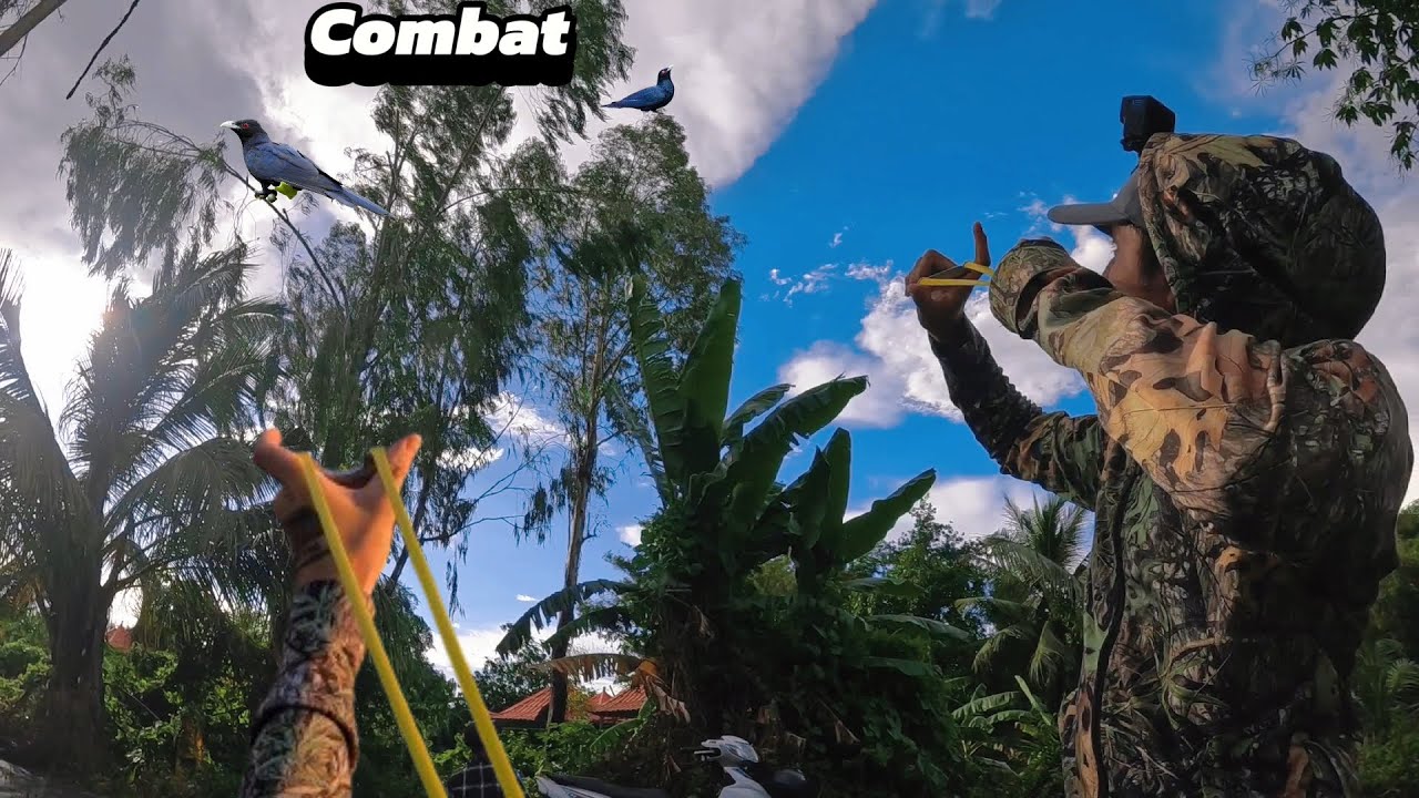 Tuấn Nhỏ || Cùng Team A7 Truy Tìm Combat Bầy Tu Hú Đen Thui.... - YouTube