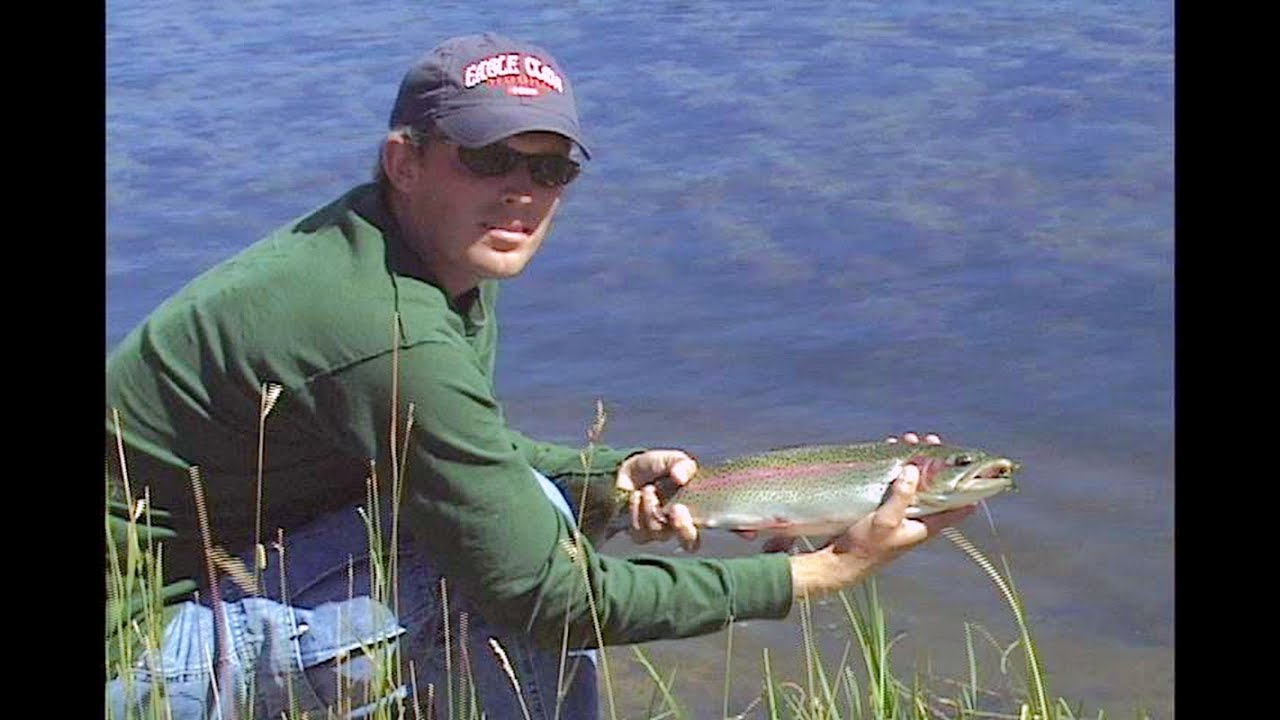 Q Creek Ranch Wyoming Fly fishing for Trout - YouTube