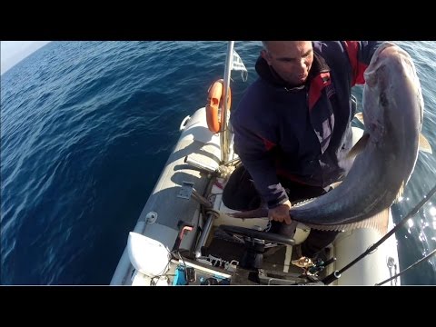 Στο Αιγαιο Συρτοκαθετη μετα απο μηνες - YouTube