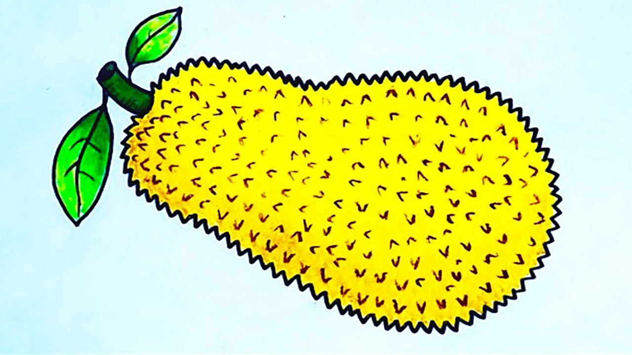 Jackfruit drawing Easy Drawing | Trick Kathal Drawing - YouTube