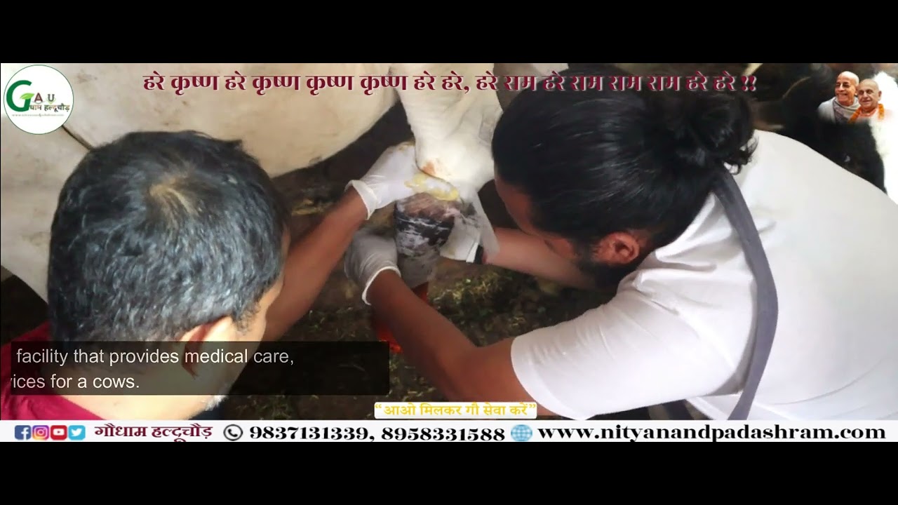 Gaudham Halduchaur dedicated to Gausewa - YouTube