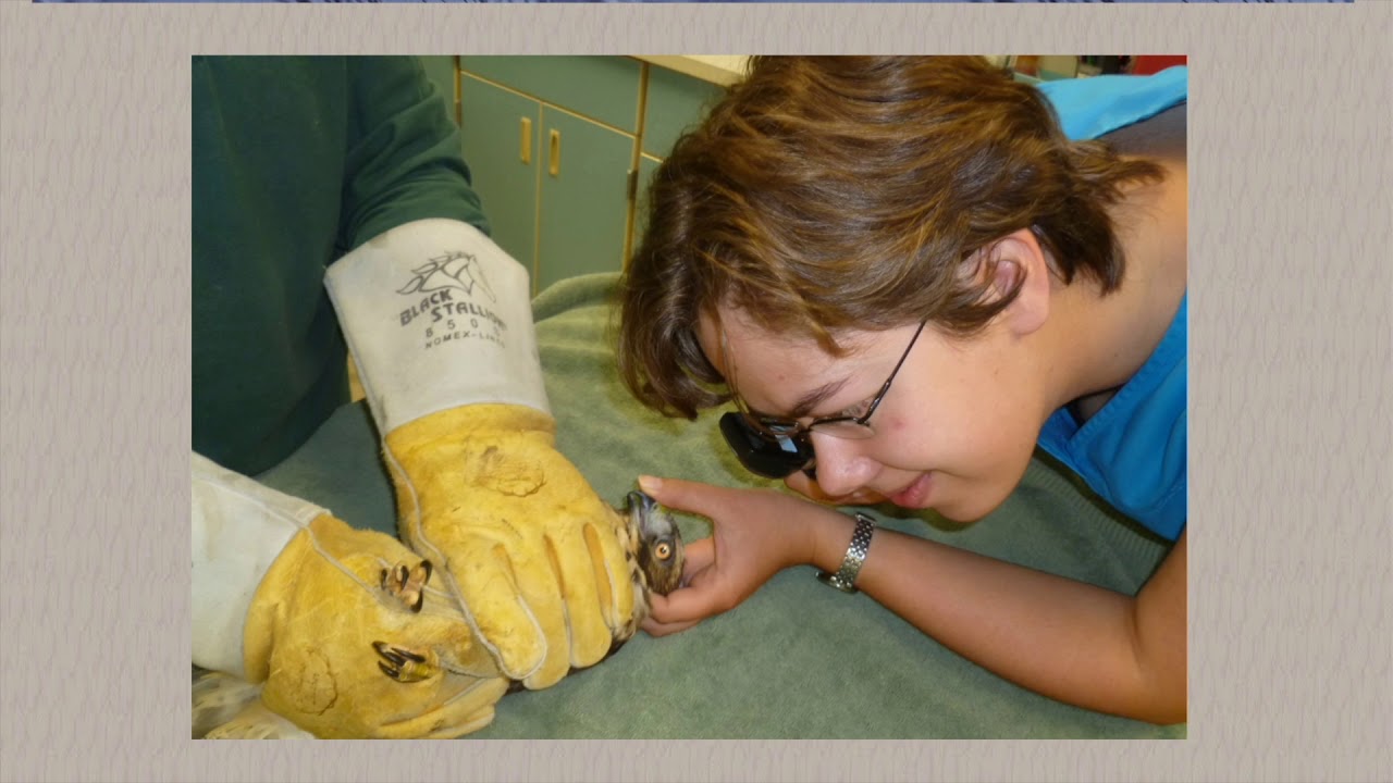 Raptor Academy - Raptor Medical Exam online self-study course - YouTube