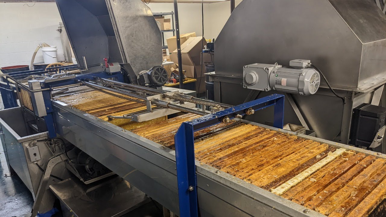 Beekeeping Q/A with Commercial Beekeeper Blake Shook! - YouTube