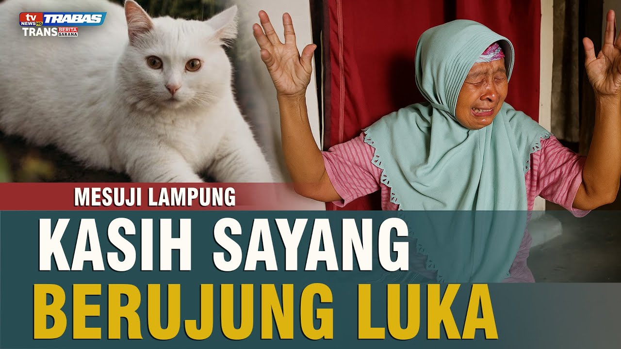 NENEK DIGIGIT KUCING PELIHARAAN, WARGA DIHEBOHKAN! - YouTube