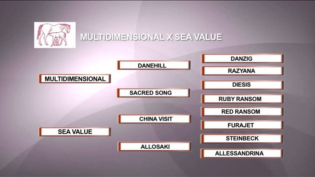 Sea Value - YouTube