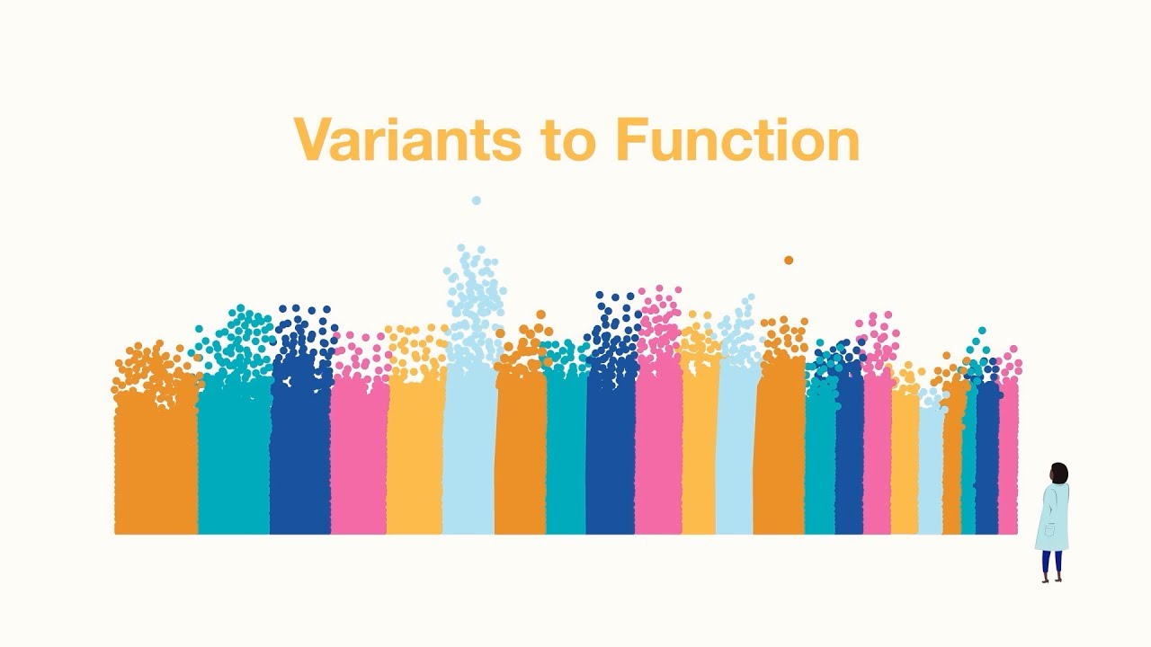 Understanding variant to function research - YouTube