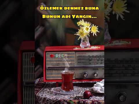 Neşet Ertaş 🎶 Gel Yanıma Gel 🎶 En Çok Dinlenen Türküler 🎶