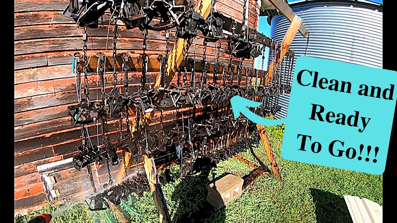 In The Fur Shed - Cleaning and Tuning Coyote Traps - YouTube