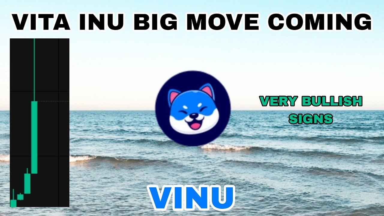 VINU COIN BIG MOVE COMING IN NOVEMBER 2024‼️ VITA INU COIN VERY BULLISH ...