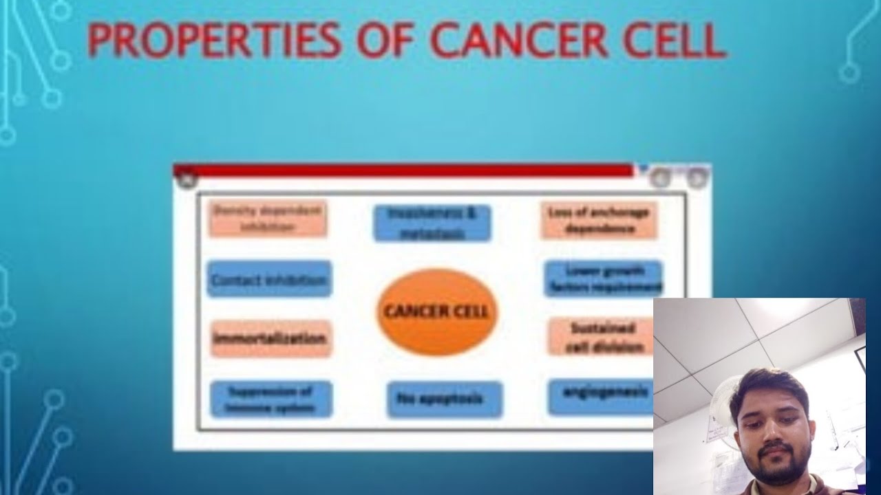Cancer cell -properties || cancer #cancer - YouTube