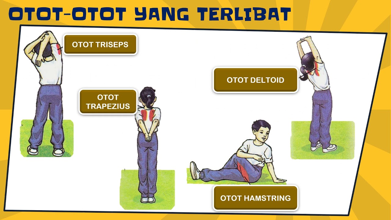 PENDIDIKAN JASMANI (SENAMAN REGANGAN TAHUN 6) - YouTube