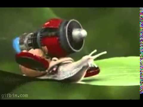 WhatsApp Funny Videos WhatsApp Latest Comedy Video snail transformers ...