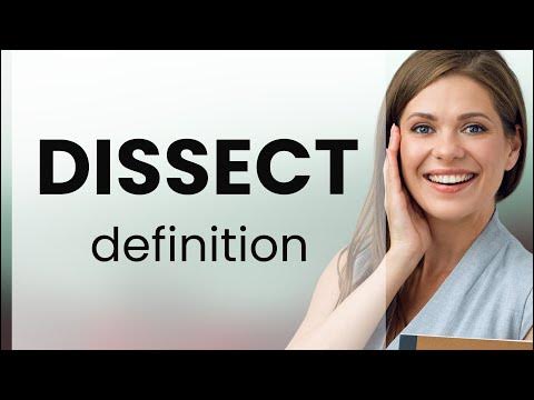 Dissect | DISSECT definition - YouTube