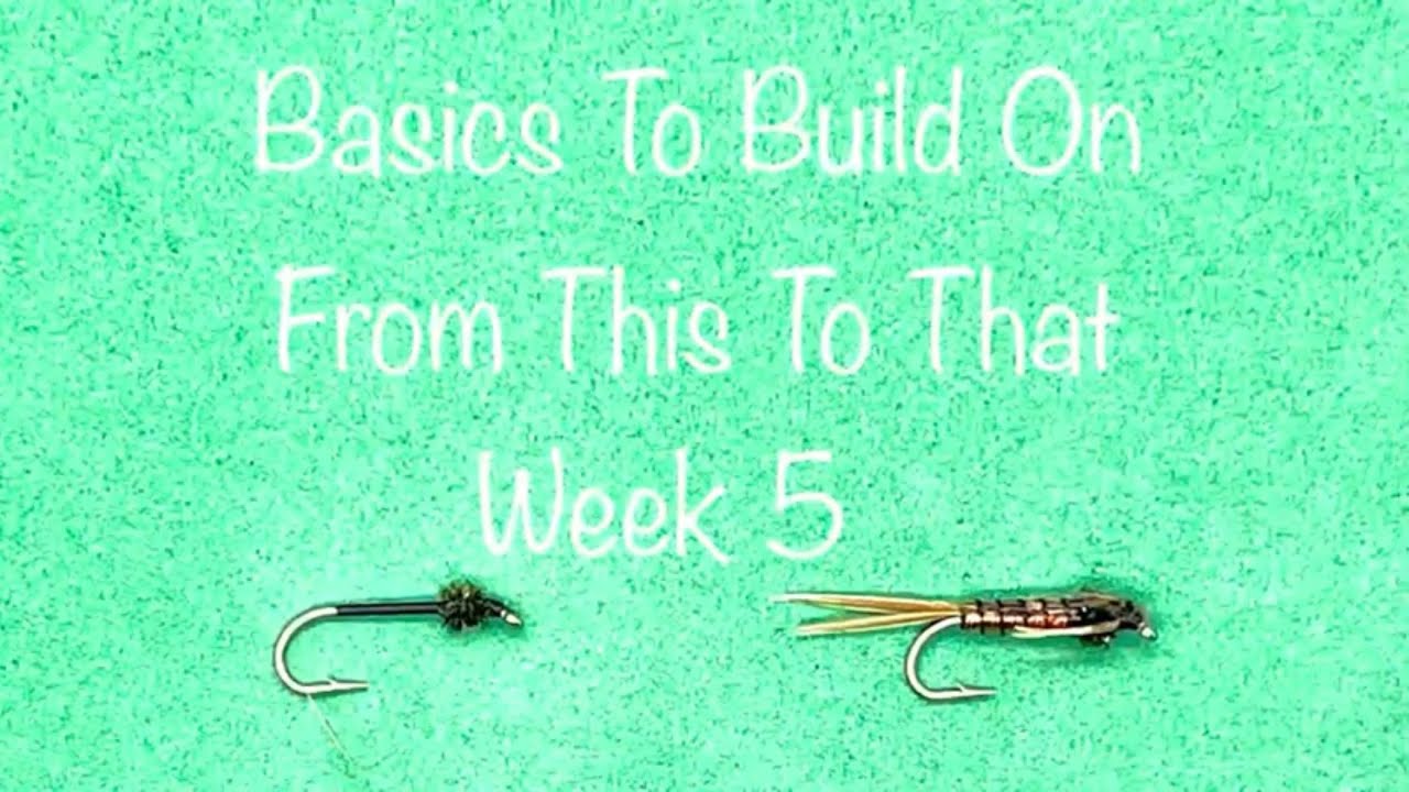 Basics To Build On (Week 5) - YouTube