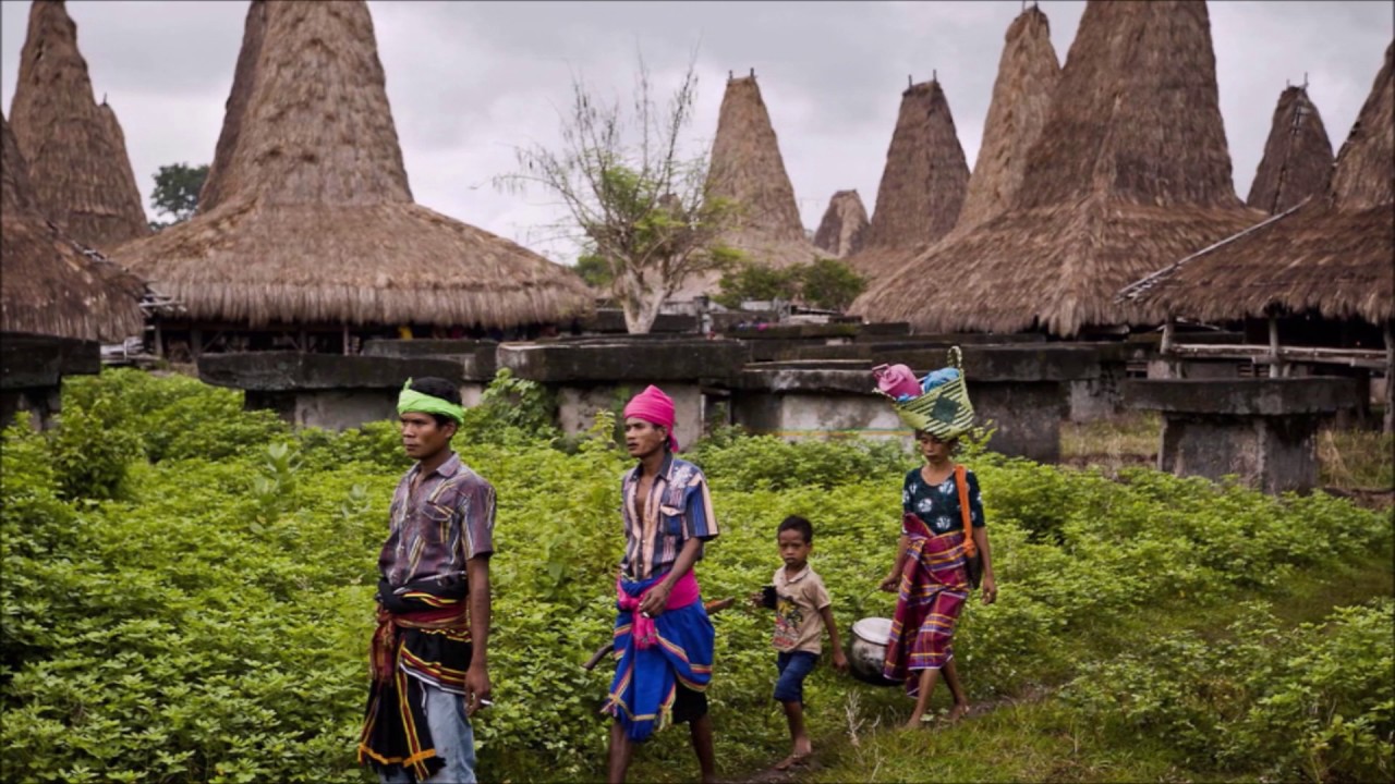 Why are Languages Becoming Extinct? - YouTube