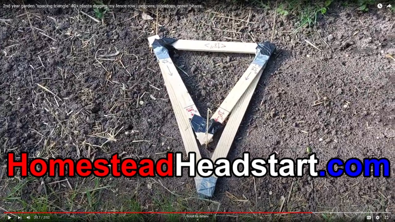 2nd year garden "spacing triangle" 40+ plants digging my fence row ...