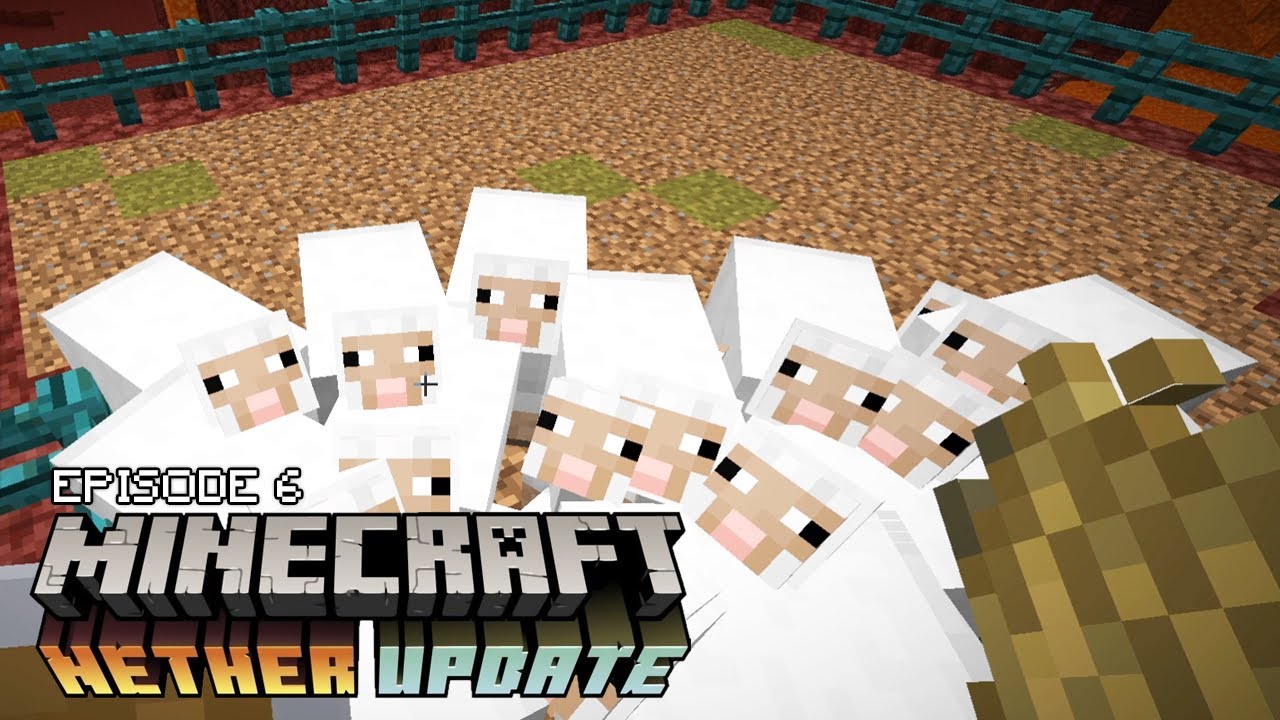 Énorme ENCLOS à MOUTON dans le NETHER ! - Episode 6 Minecraft Survie 1. ...