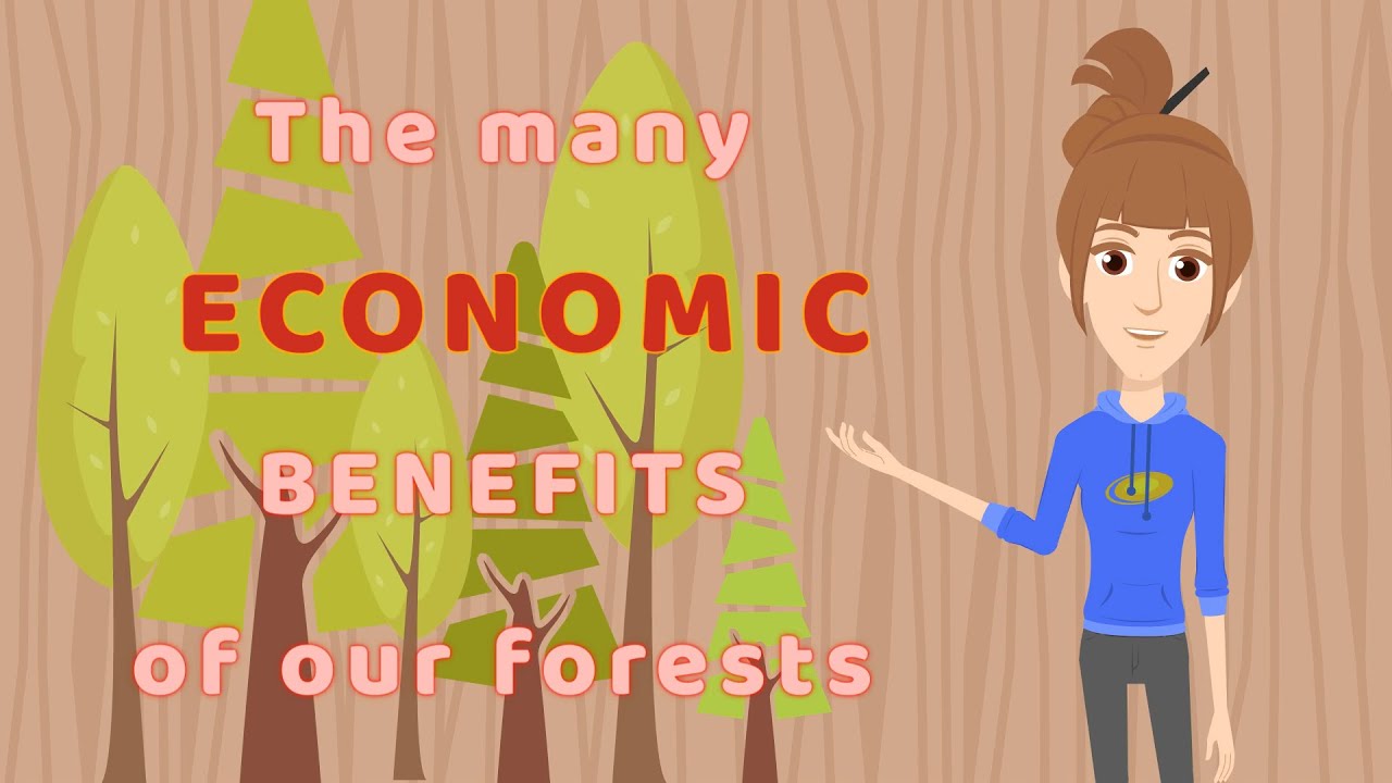 Economic benefits of forests - YouTube