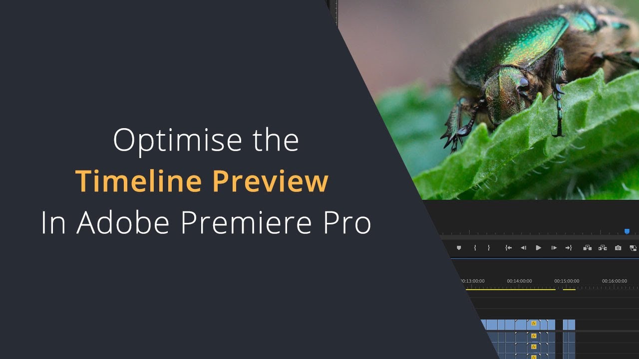 Scroll Through Premiere Timeline During Preview | Stop Timeline ...