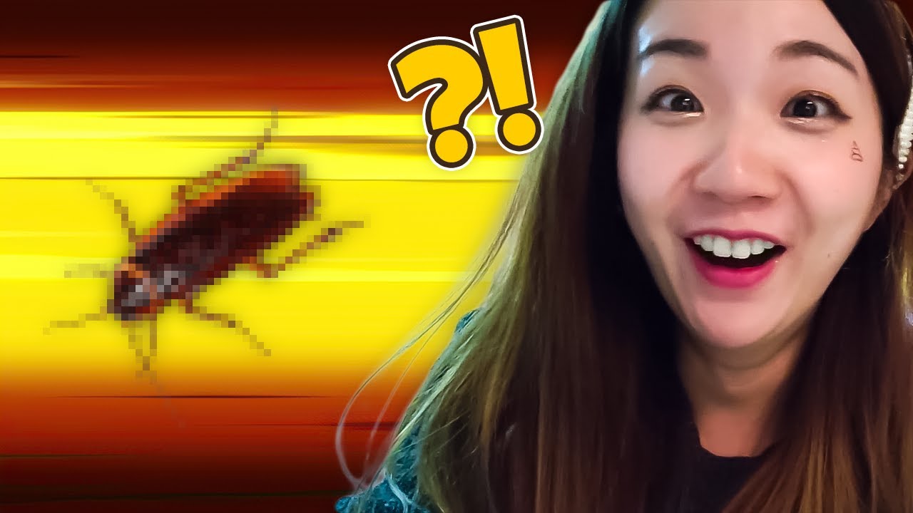 Big Cockroach at my new place in Korea - YouTube