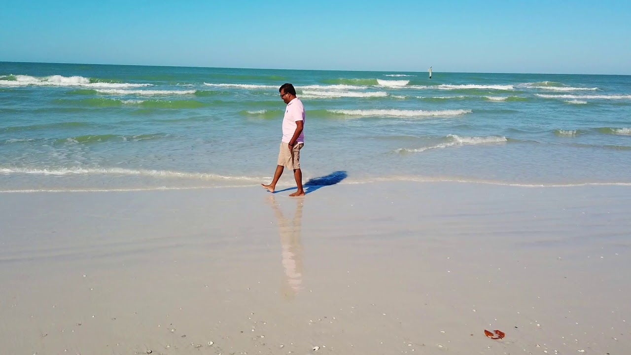 Beach Walk around Siesta Key - YouTube