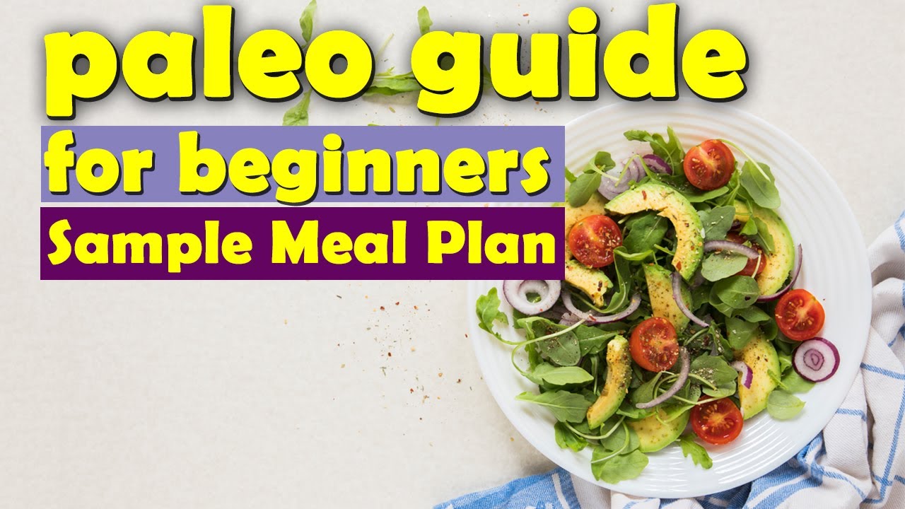 Paleo Diet for Beginners - How to Begin Eating Paleo ( FOODS To Eat ...
