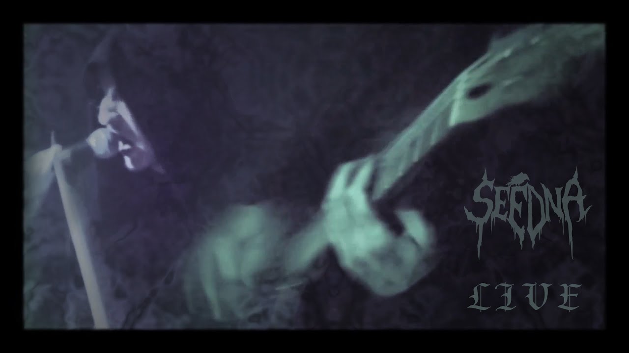 SEEDNA - Frozen (OFFICIAL LIVE VIDEO) - YouTube
