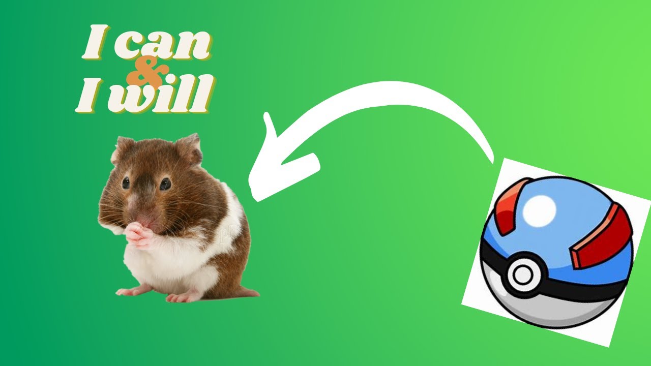 Tried to catch a hamster... - YouTube