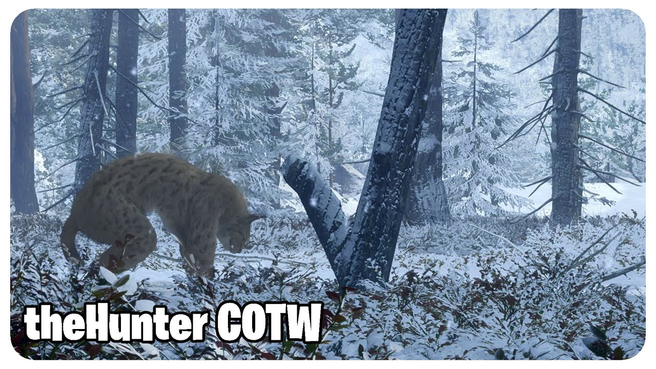 The Hunter Becomes The Hunted #thehuntercallofthewild - YouTube