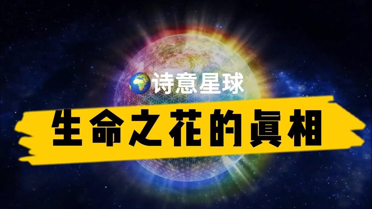 生命之花的真相 |flower of life - YouTube