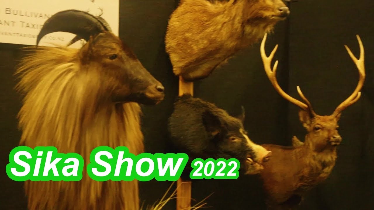Sika Show 2022 Mystery Creek Hamilton - YouTube