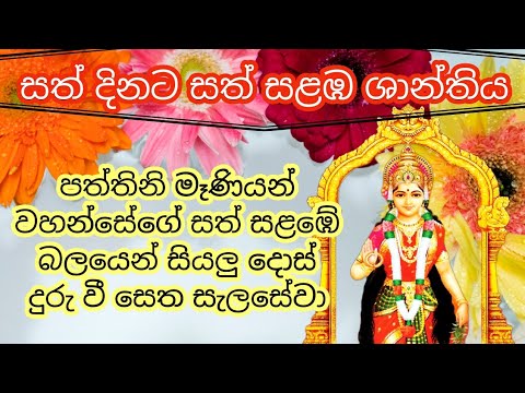 සත් දිනට සත් සළඹ ශාන්තිය salaba pattini paththini shanthiya ...