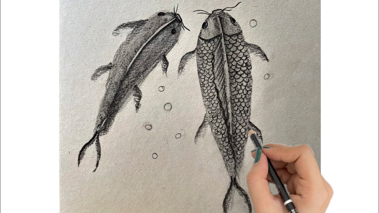 How to draw a fish - YouTube