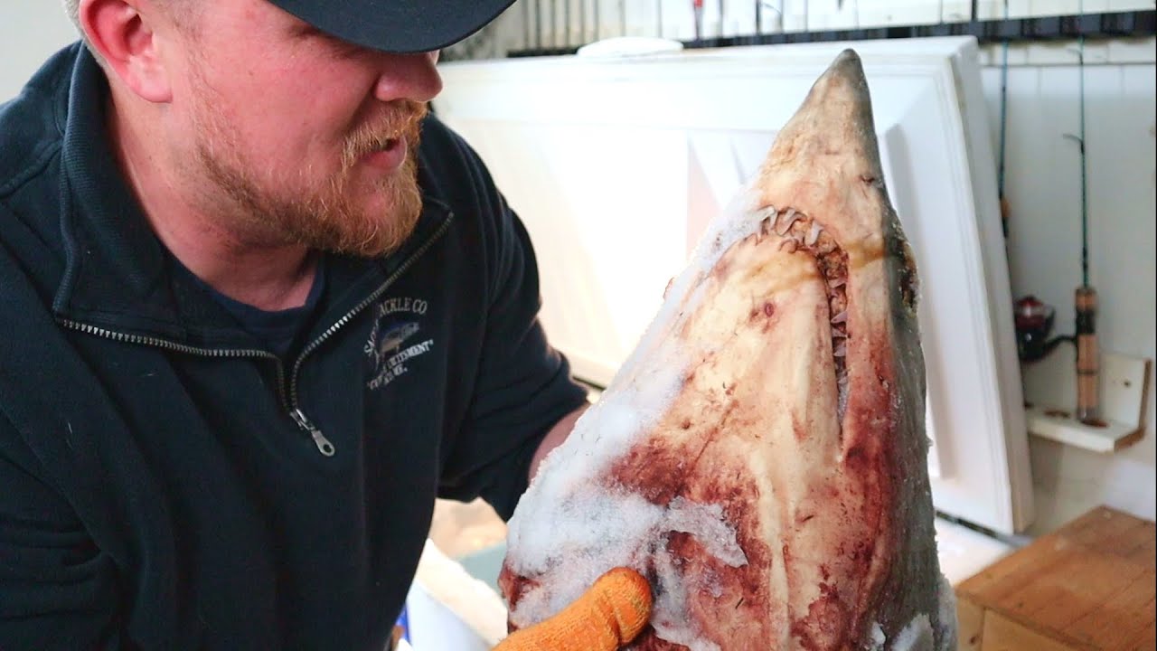 WHAT'S IN THE FISHING BAIT FREEZER? Bought A New Freezer So I'm ...