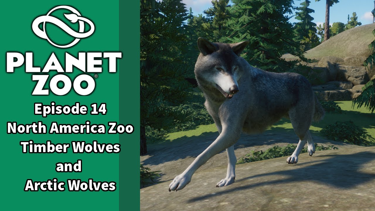Planet Zoo Episode 14: North America Zoo, Timber Wolves and Arctic ...