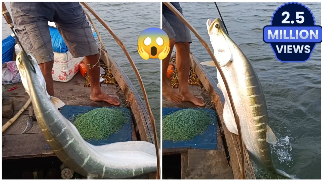Fishing Video ।😲 Yesa Moka Kismat Se Milta hai ।। Biggest Cital #fish ...
