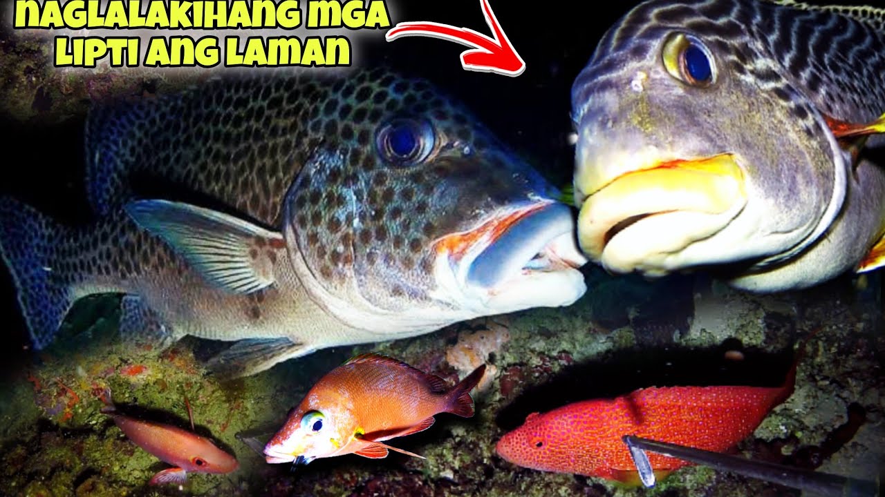 eps.248 NAGLALAKIHANG MGA LIPTI OR SWEETLIPS ANG LAMAN AT LAPU AT MAYA😱 ...